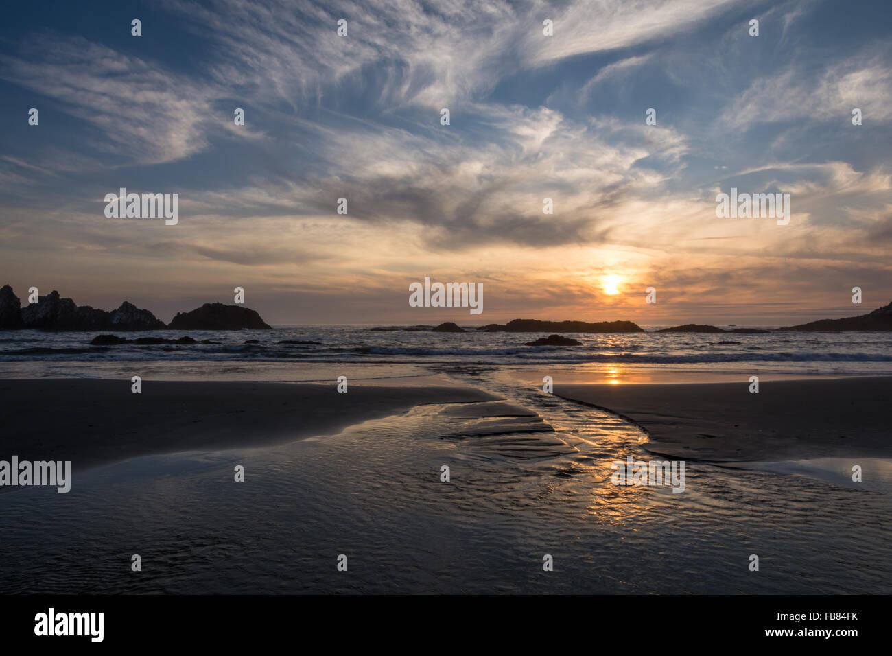 Seal Rock Oregon High Resolution Stock Photography and Images - Alamy