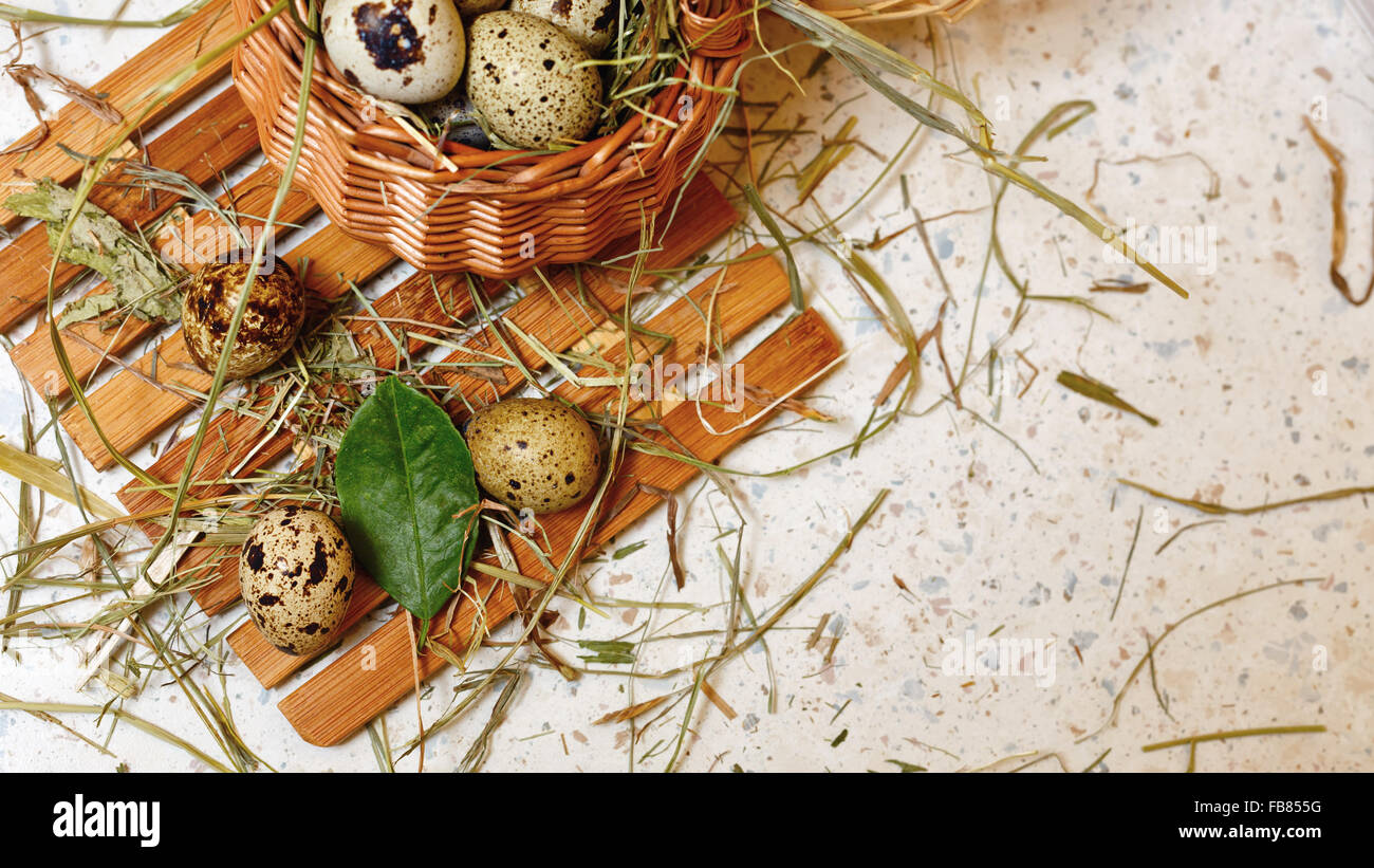 Quail eggs in basket. Delicacy. Protein diet. Healthy food Stock Photo ...