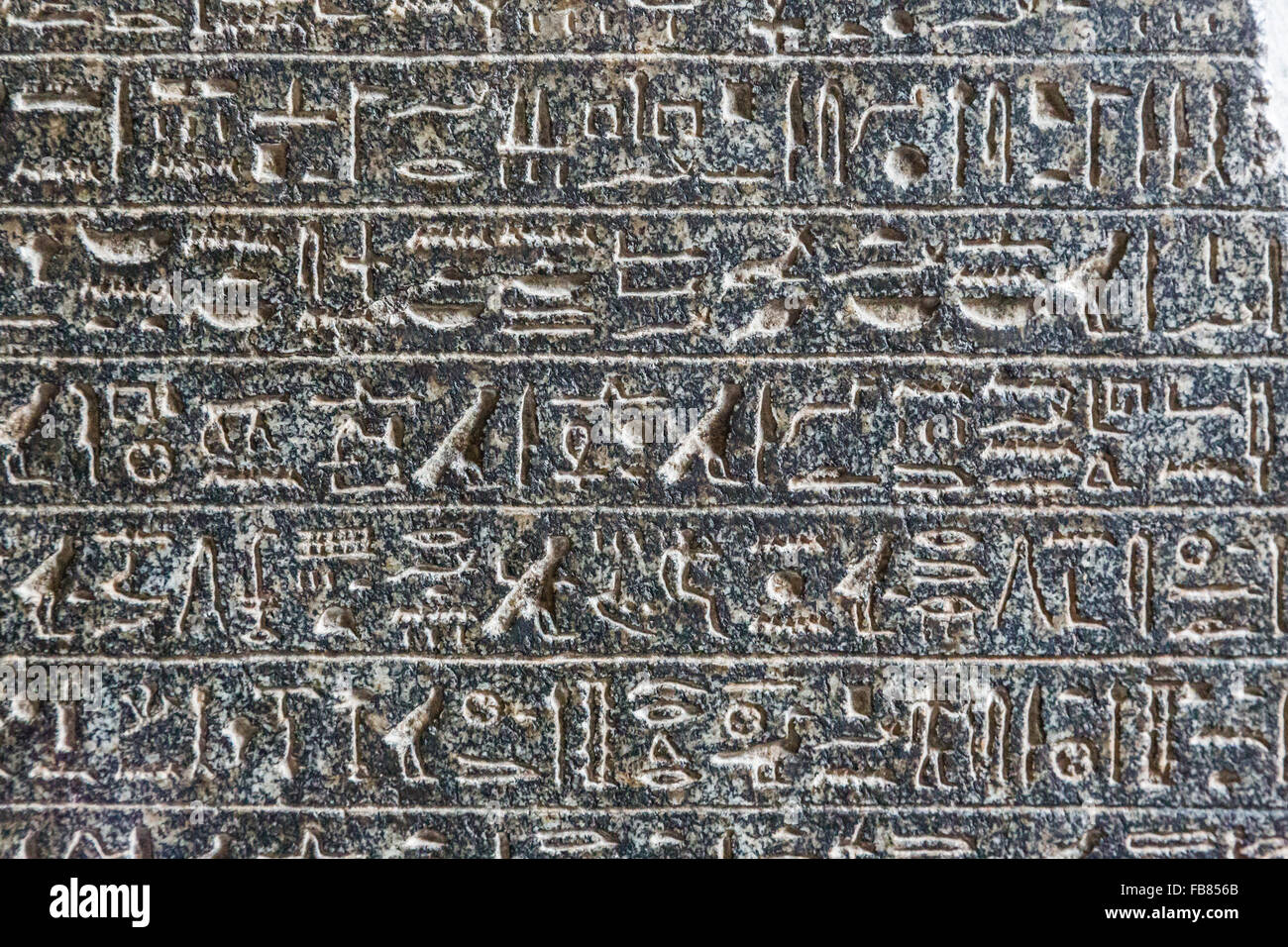 detail of hieroglyphic stele , the Egyptian Museum, Cairo, Egypt Stock ...