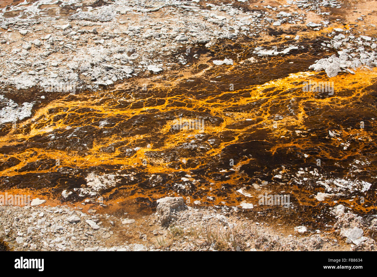 Orange rivulets of hot water flow over limestone of the Upper Geyser ...
