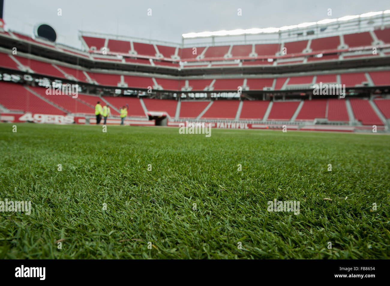 Santa Clara, CA, USA. 11th Jan, 2016. West Coast Turf started the sod ...