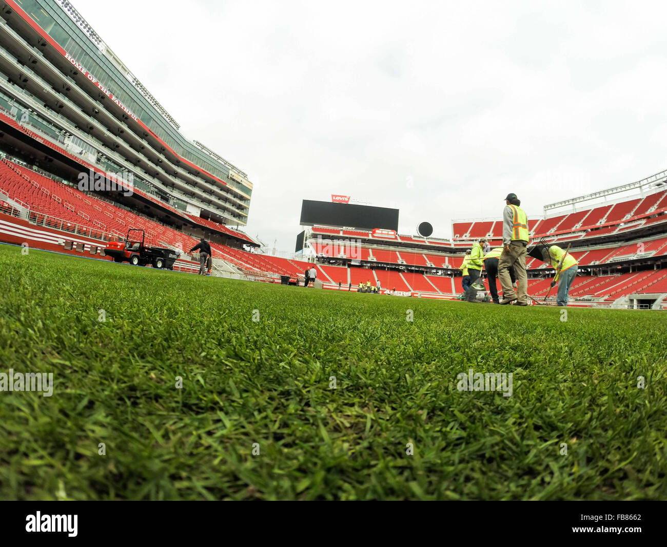 Santa Clara, CA, USA. 11th Jan, 2016. West Coast Turf started the sod ...