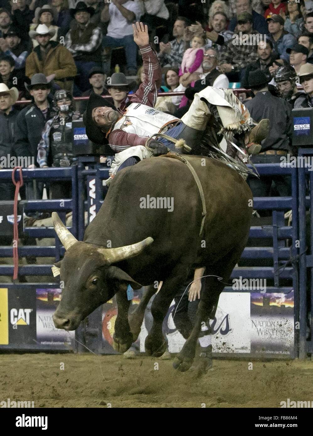 Denver, Colorado, USA. 11th Jan, 2016. Bullrider SIMAO DA SILVA, from Coacatupa, Sao Paulo, BZ ...