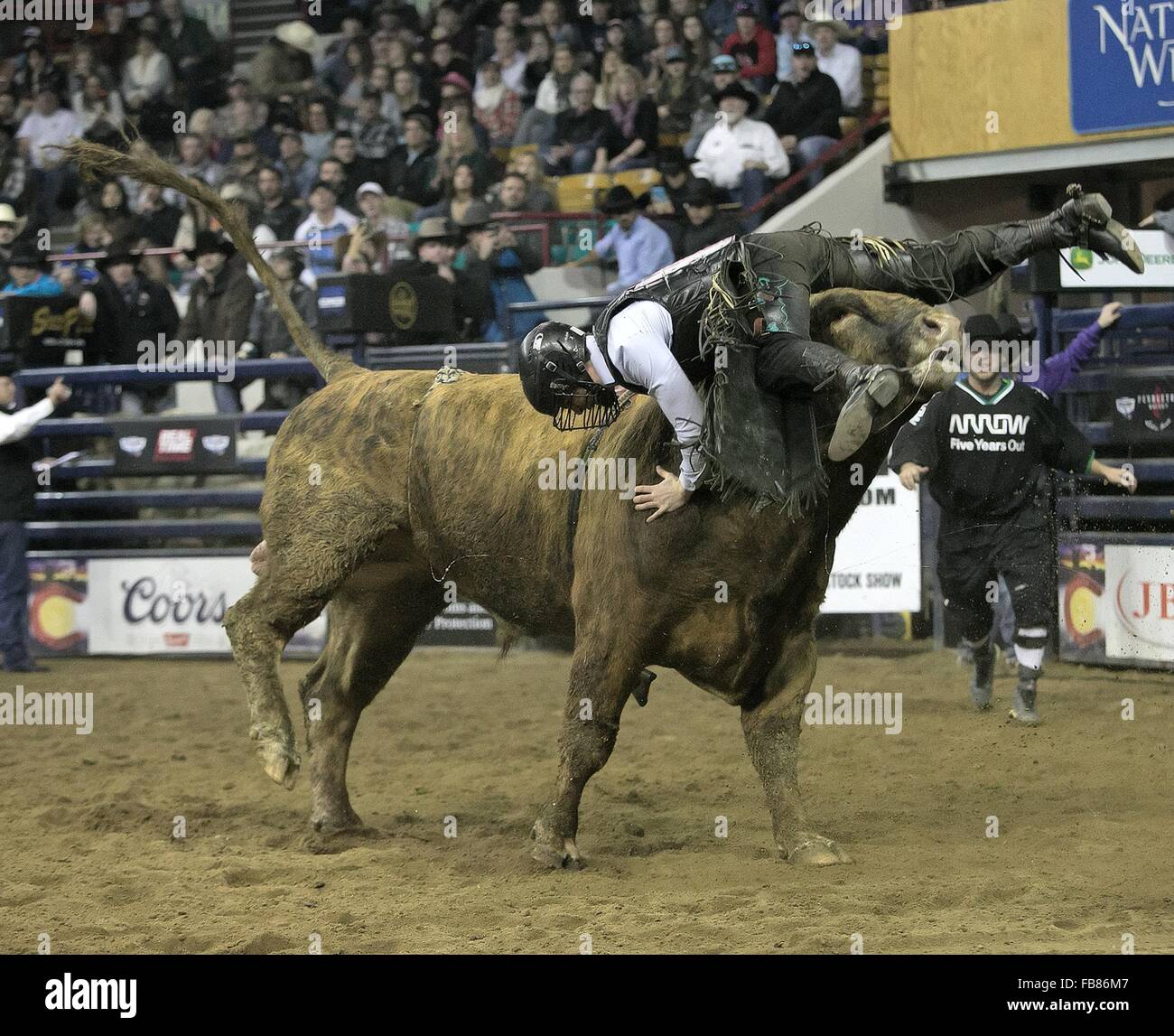 Denver, Colorado, USA. 11th Jan, 2016. Bullrider TRISTIN MIZE, of Bryan ...