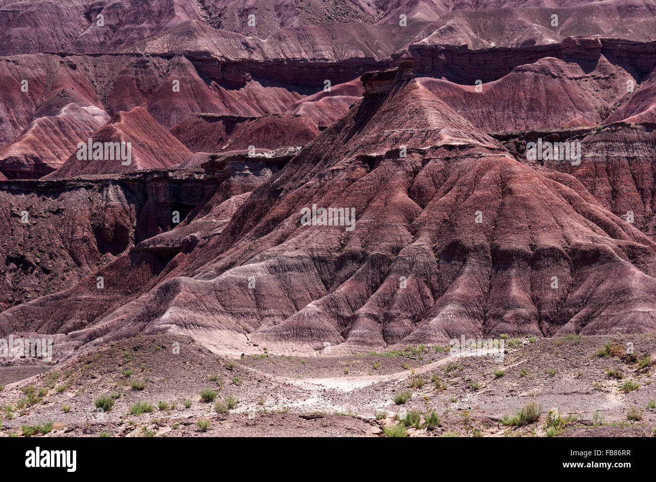 Cameron Arizona High Resolution Stock Photography and Images - Alamy