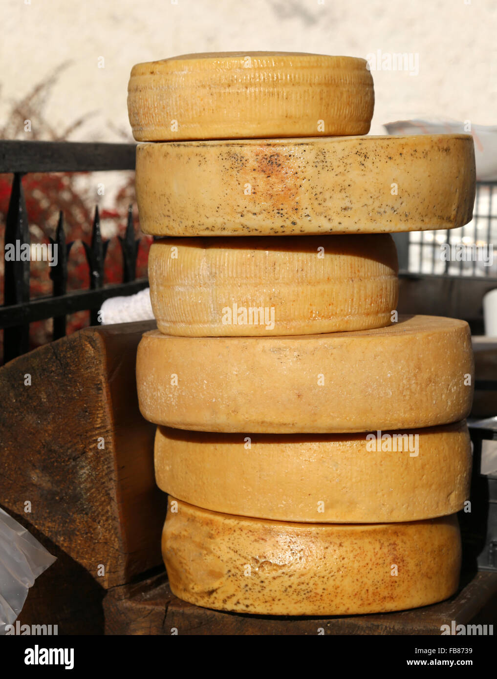aged cheeses on sale in the food market Stock Photo - Alamy