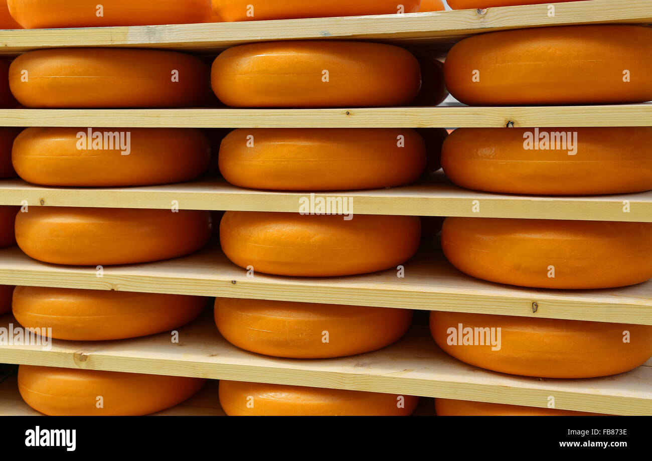 Bio forms hi-res stock photography and images - Alamy