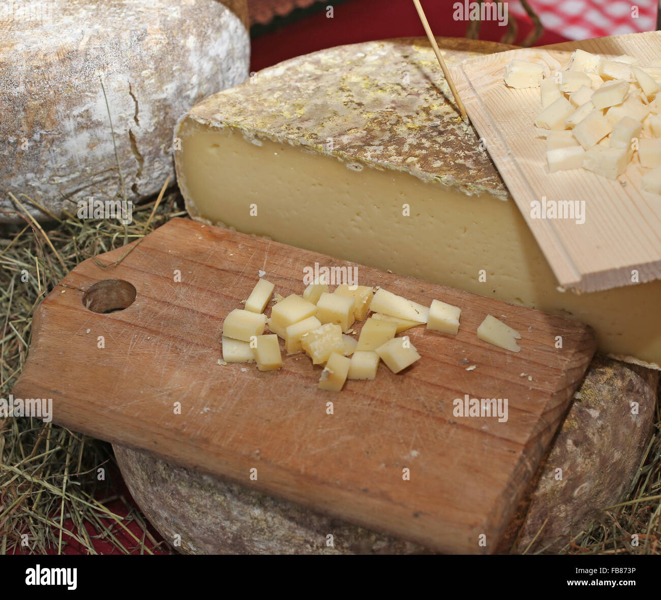pieces of seasoned cheese on wooden chopping board as tastings in local ...