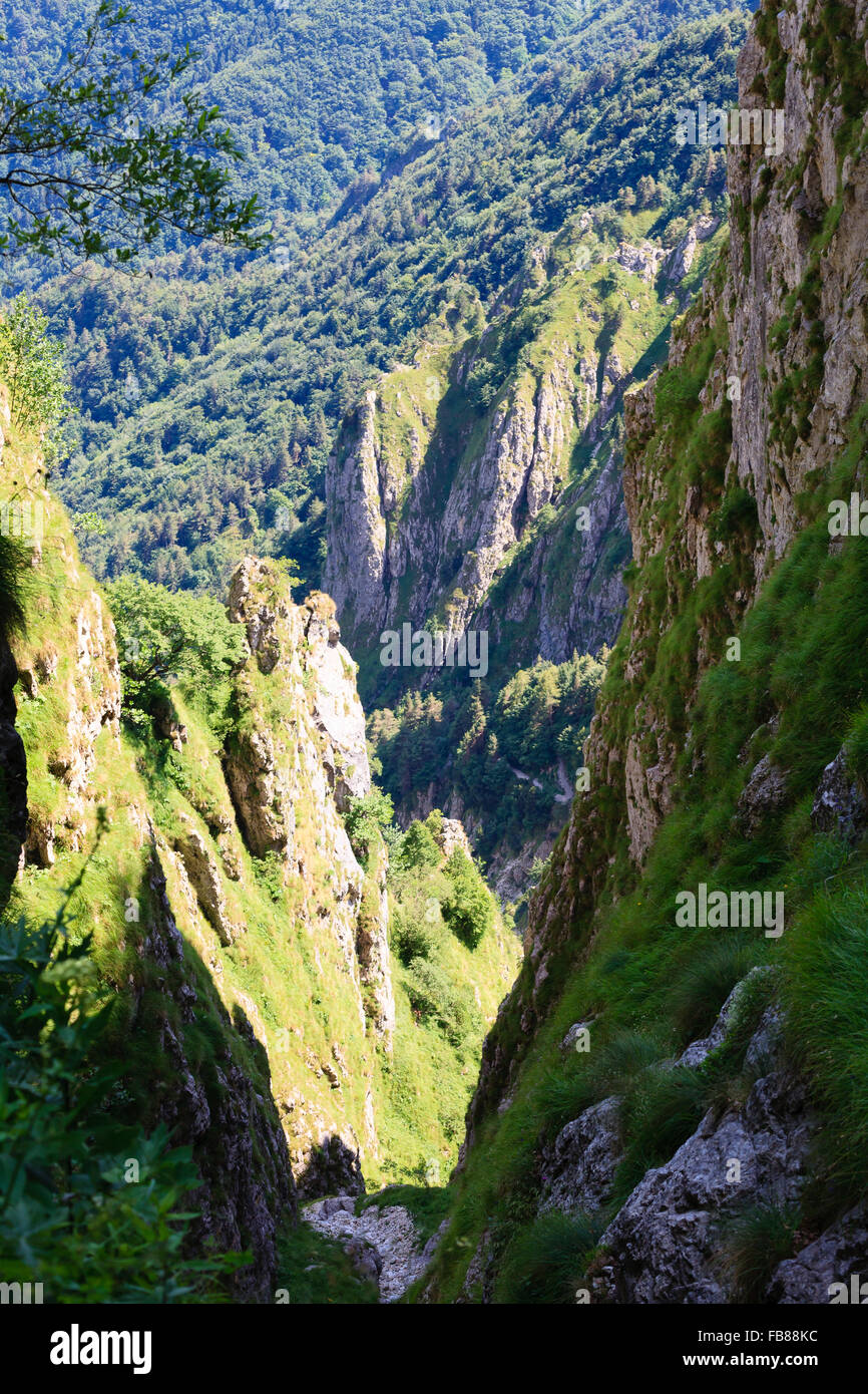 Deep ravine along a trekking path, Italian alps Stock Photo - Alamy