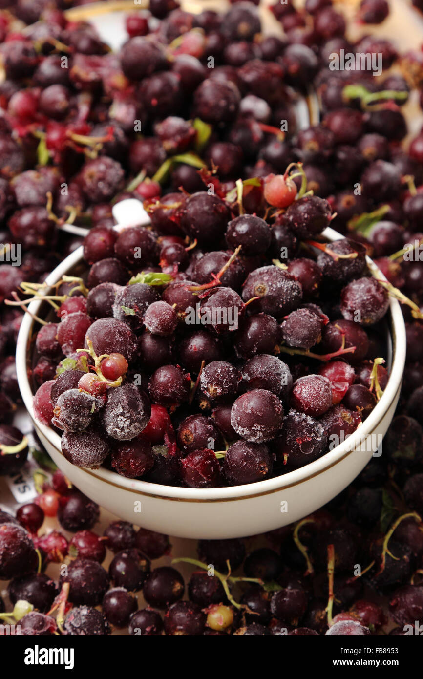 Frozen black currant/Berries Stock Photo - Alamy