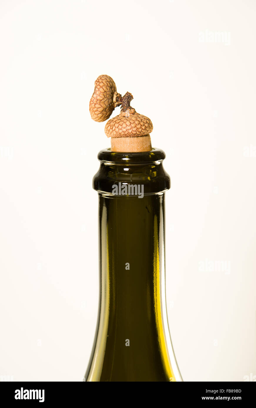 The neck of a wine bottle closed acorn Stock Photo - Alamy