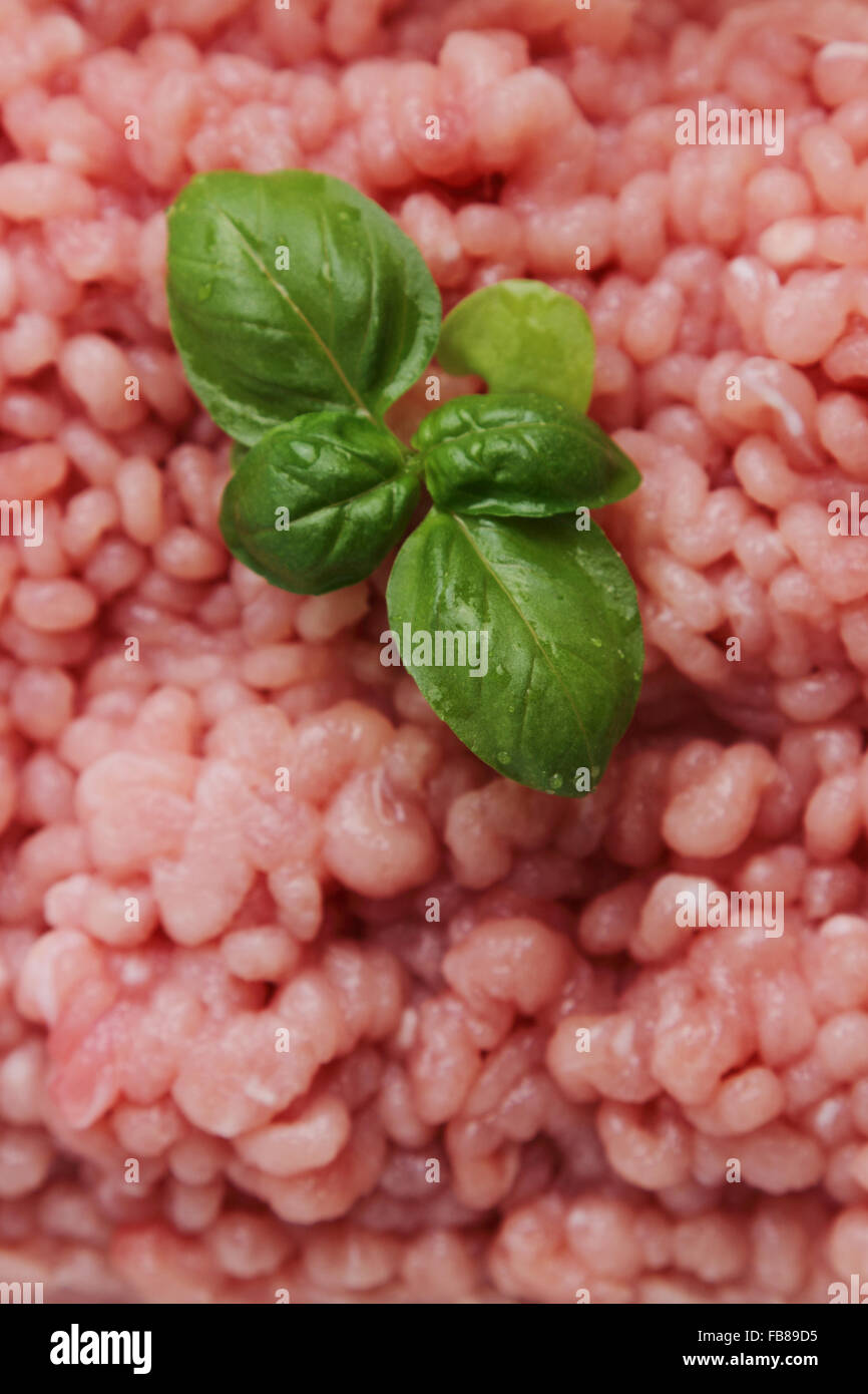 Minced turkey meat hi-res stock photography and images - Alamy