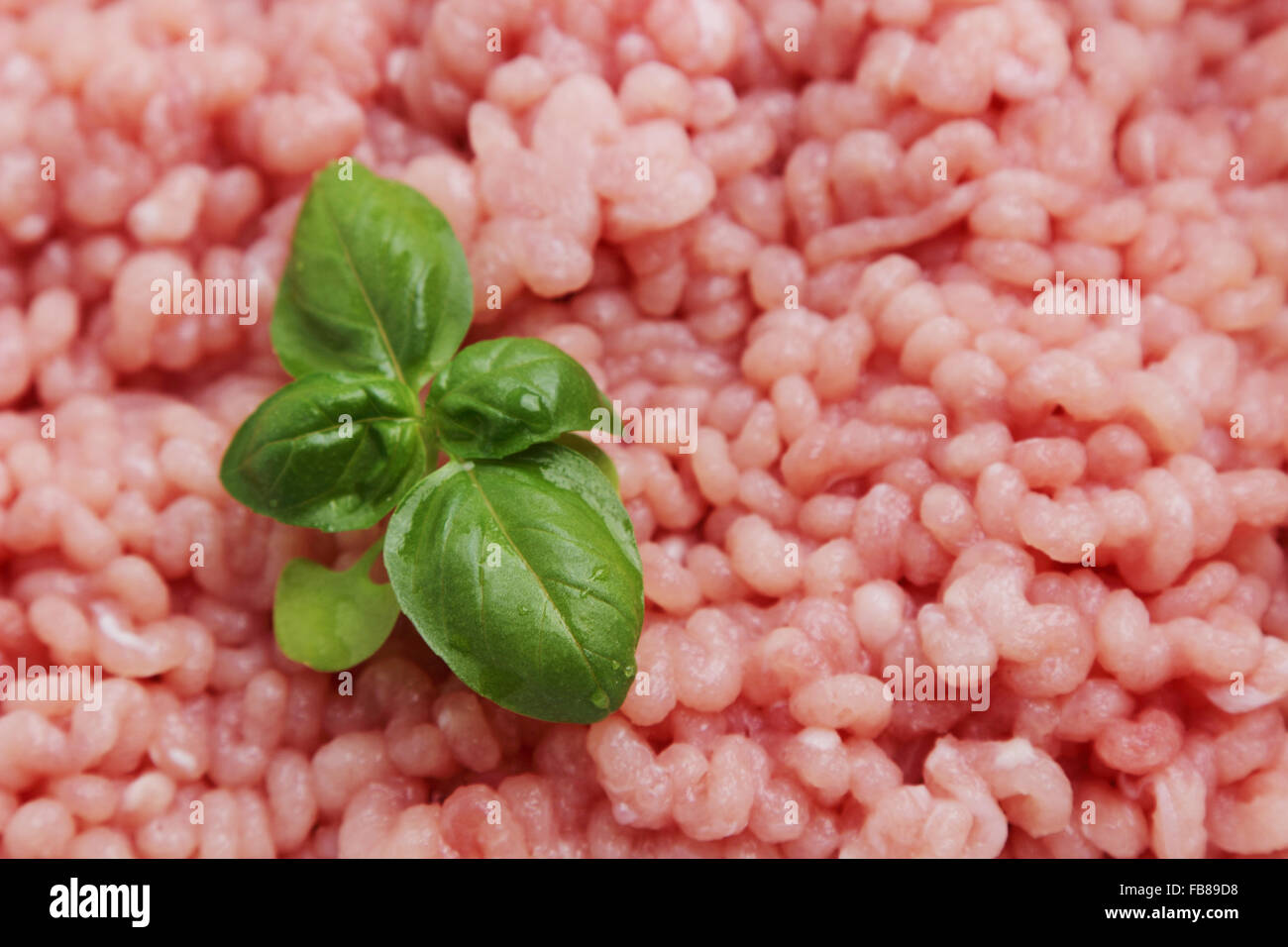 Minced turkey hi-res stock photography and images - Alamy