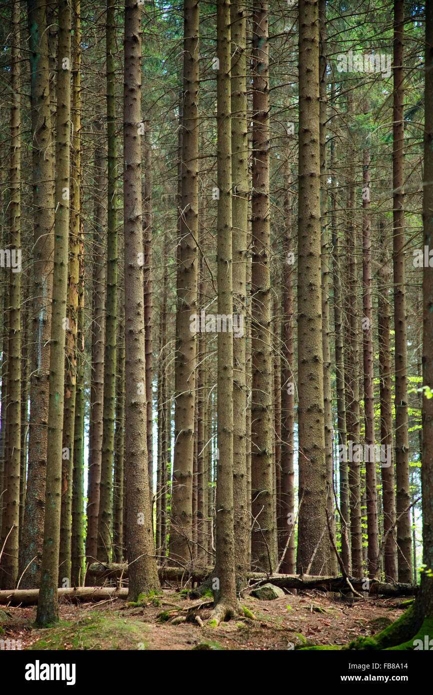 View of the soderasens national park hi-res stock photography and ...