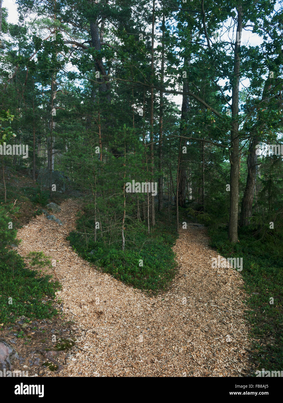 Dividing path hi-res stock photography and images - Alamy