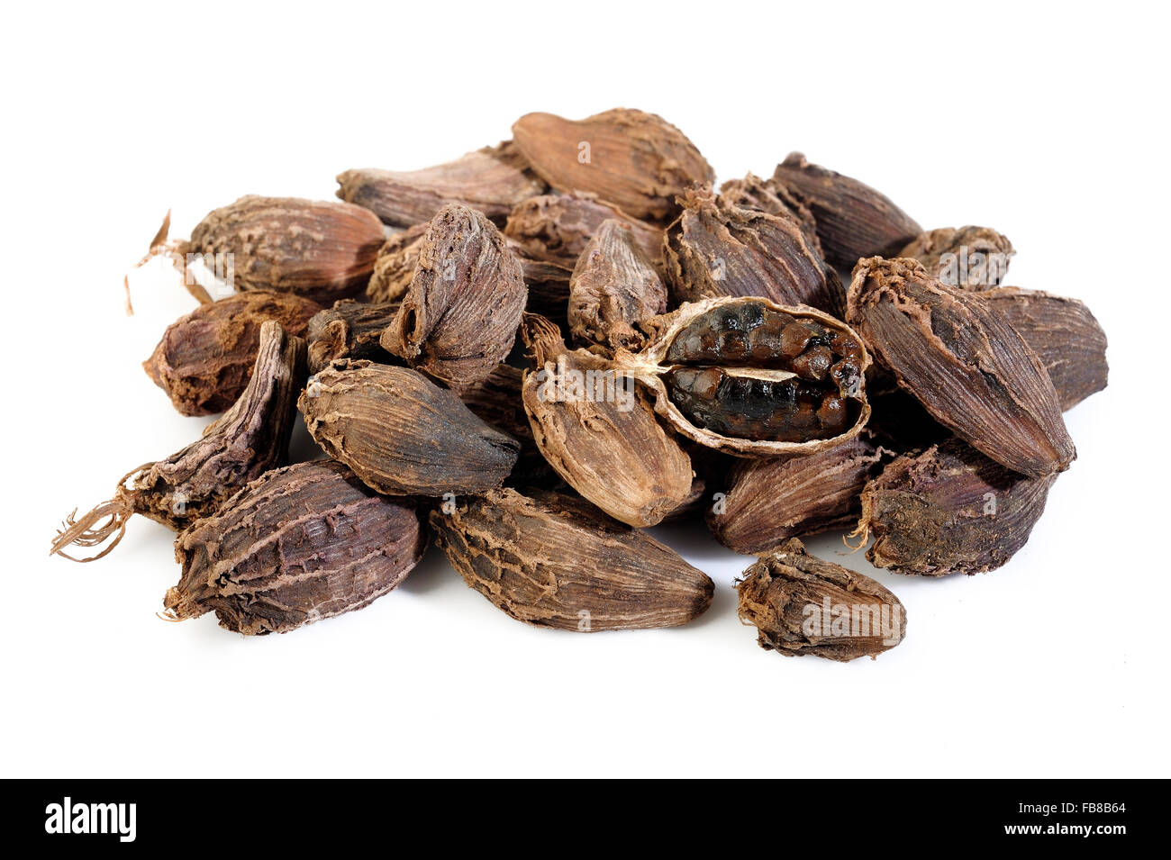 black cardamom isolated on white background Stock Photo - Alamy