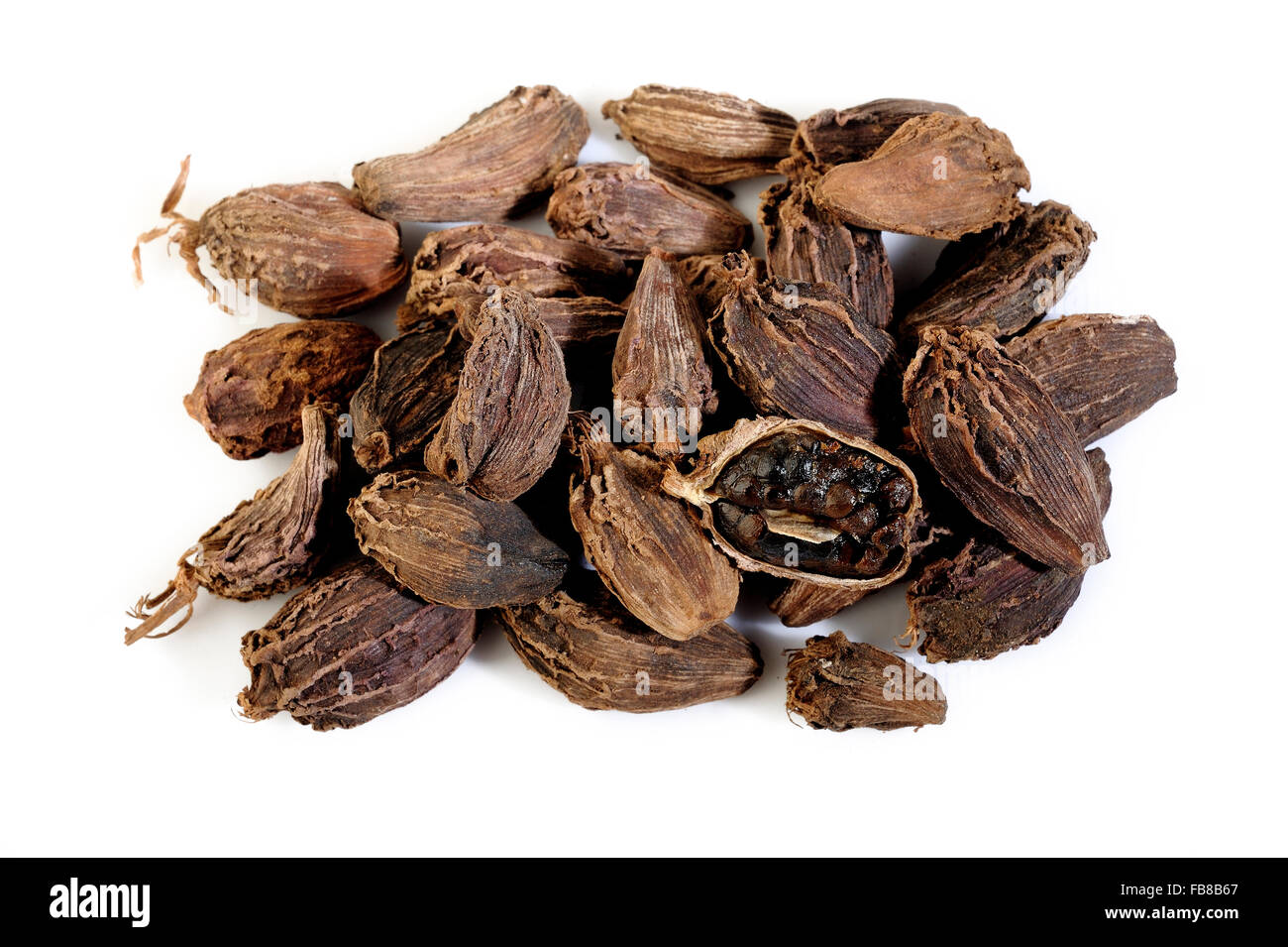 black cardamom isolated on white background Stock Photo - Alamy