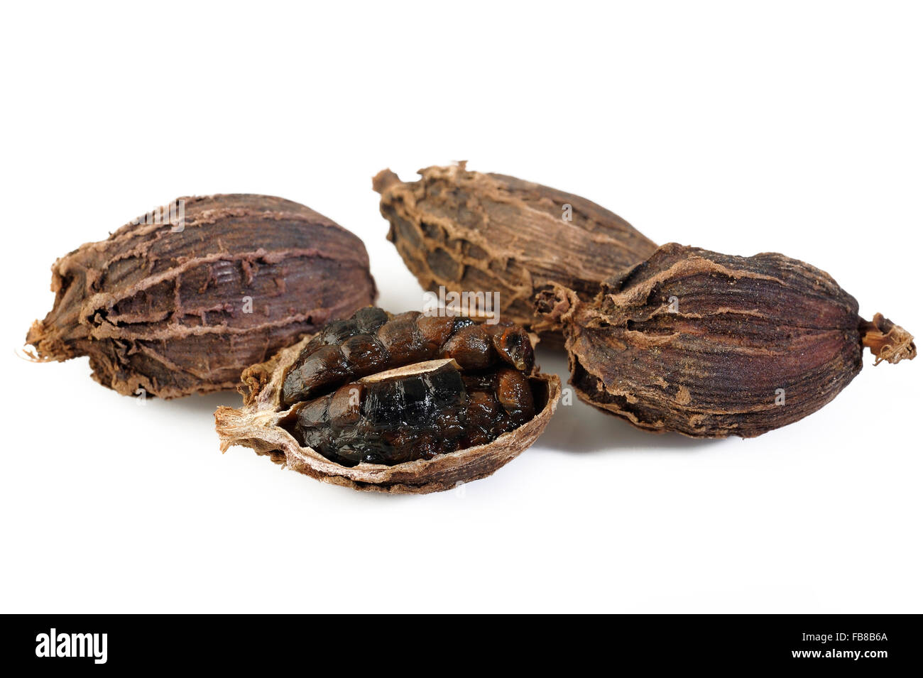 black cardamom isolated on white background Stock Photo - Alamy