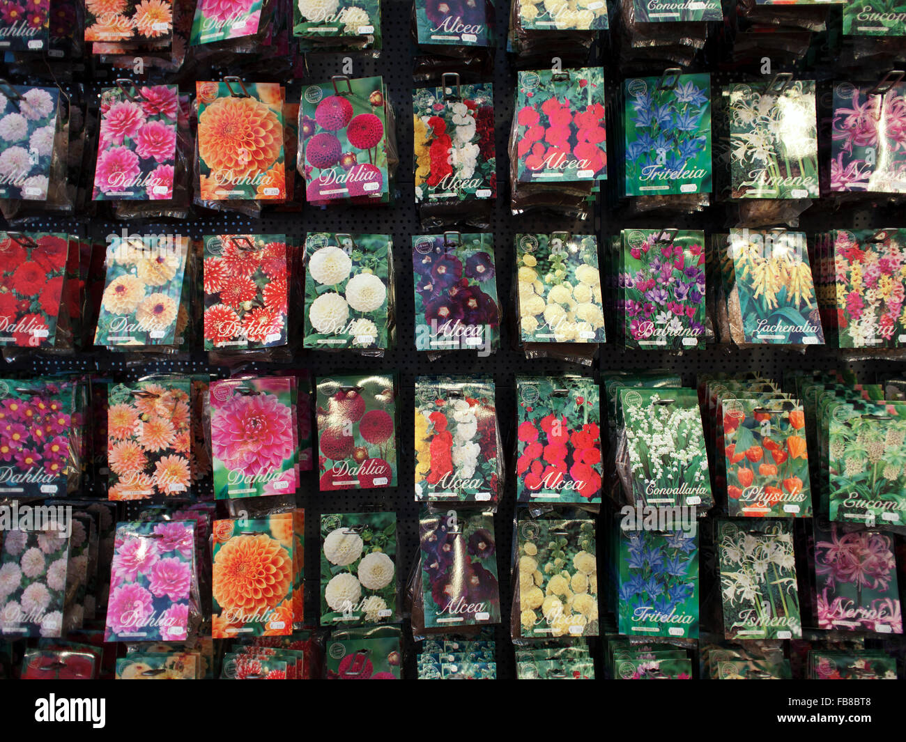 Display Of Flower Seeds High Resolution Stock Photography and Images ...