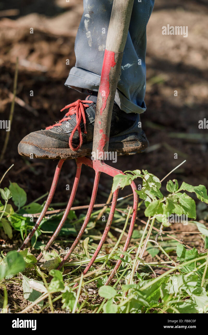 Man pitchfork hi-res stock photography and images - Alamy