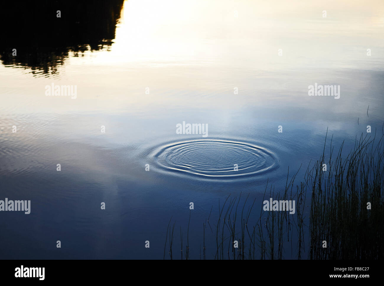 Sweden, Dalarna, Solleron, View of lake Stock Photo - Alamy