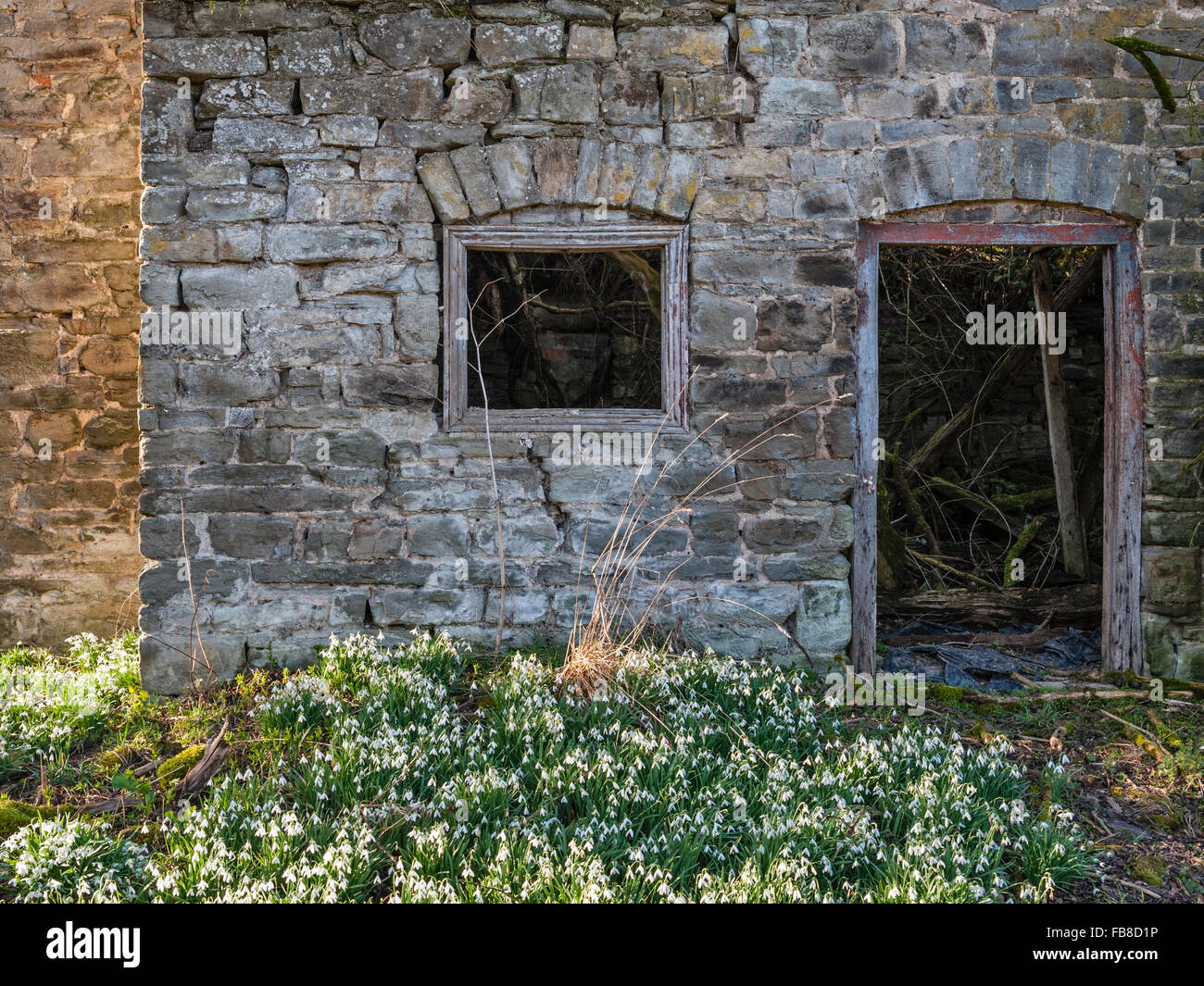 Ruined cottage hi-res stock photography and images - Alamy