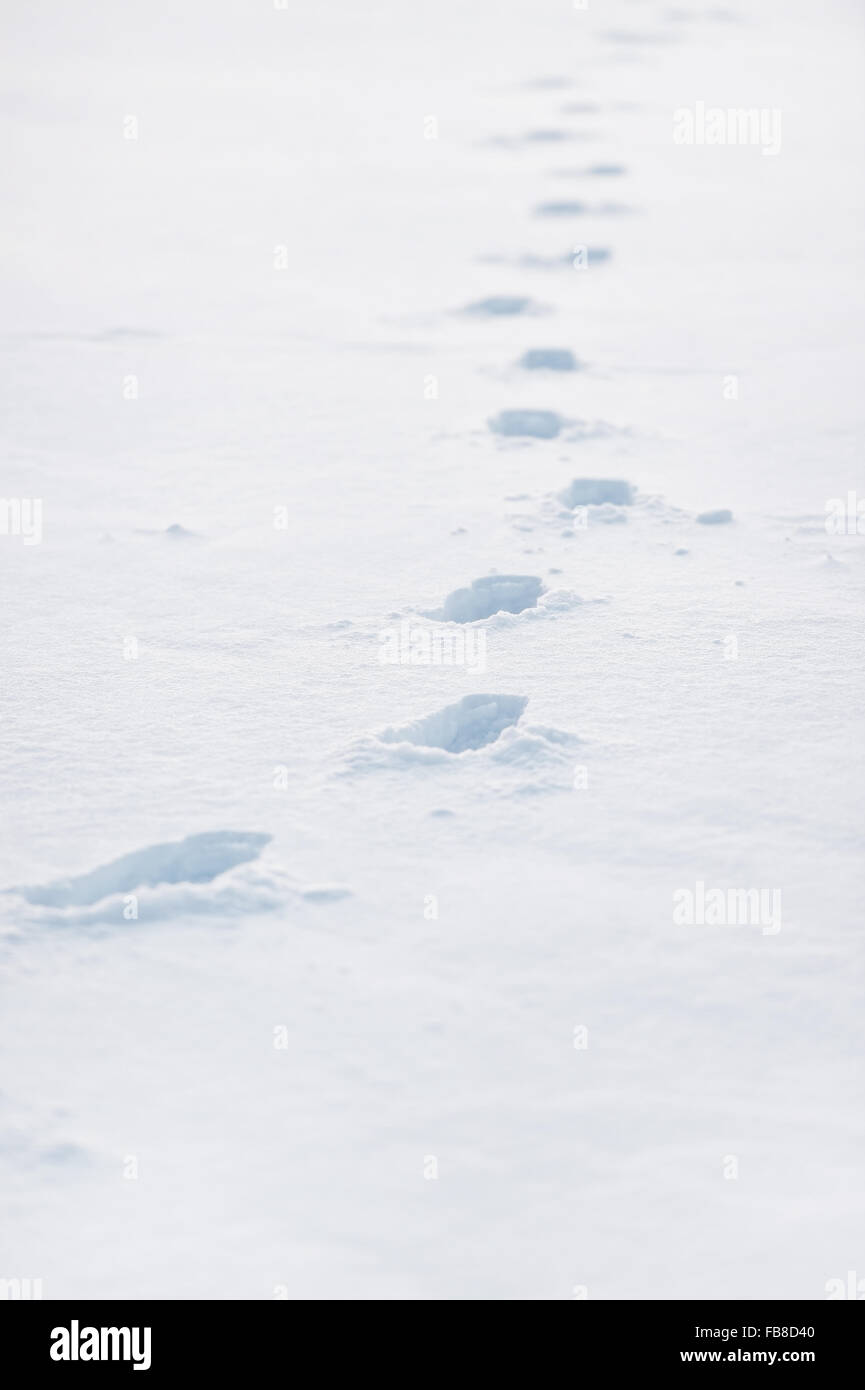 Human footprints in winter hi-res stock photography and images - Alamy