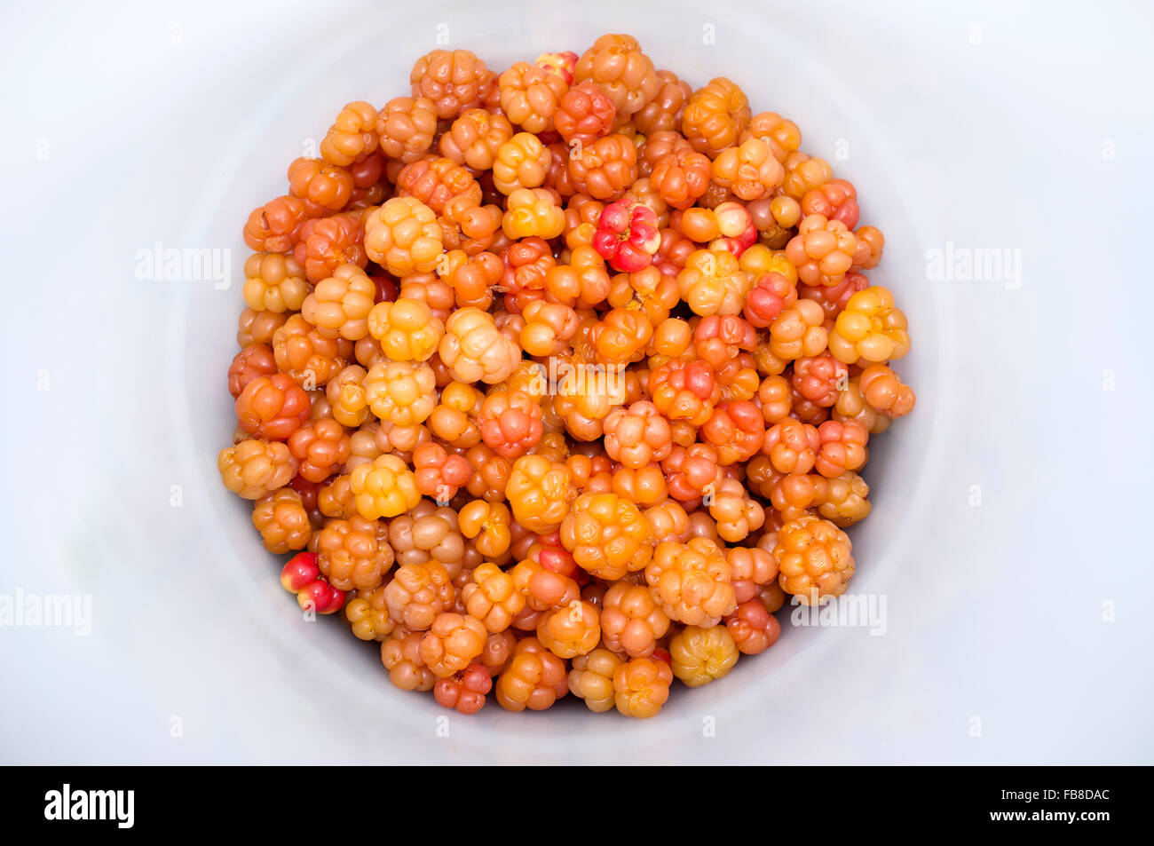 Sweden, Harjedalen, Ytterberg, Cloudberries in bowl Stock Photo - Alamy