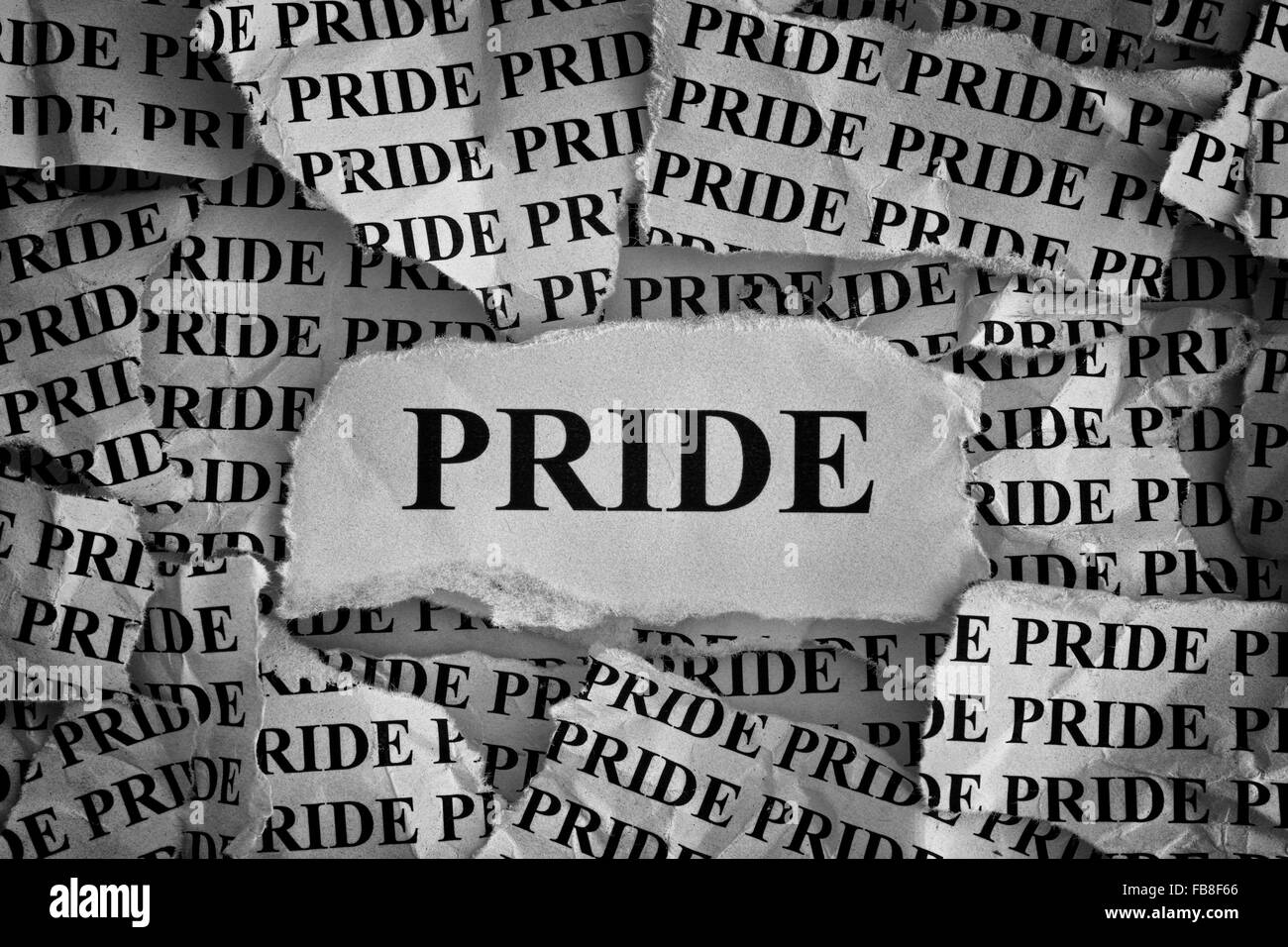 The Word Pride