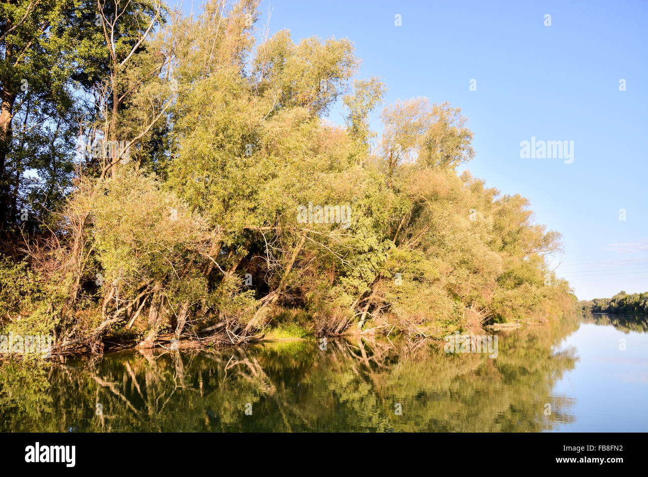 Wild Brenta River Stock Photo - Alamy