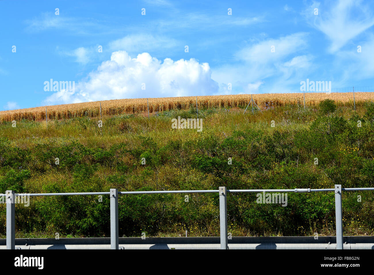 Fields of territory of Transylvania Stock Photo - Alamy