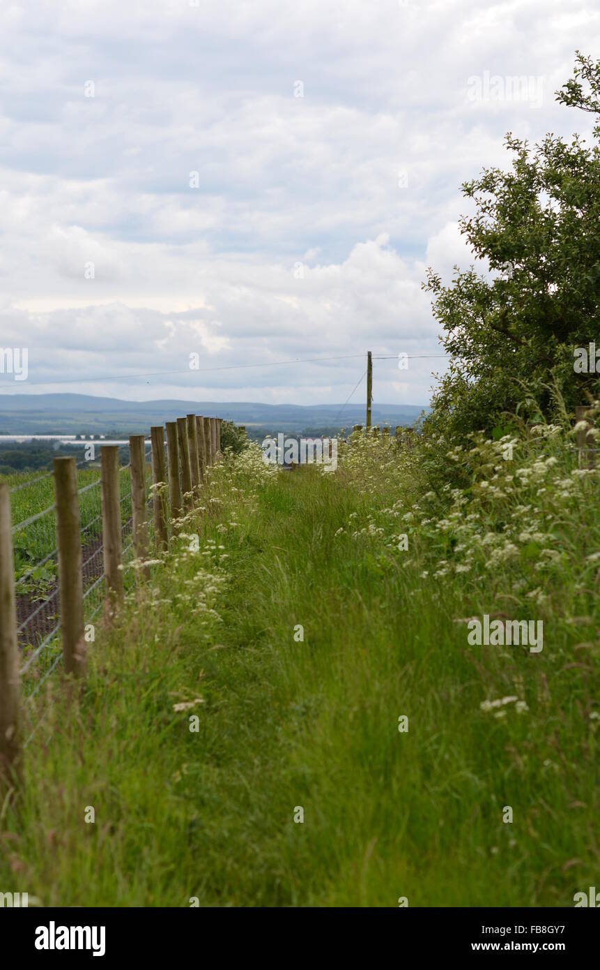 Path from Binny Craig, West Lothian, Scotland Stock Photo - Alamy