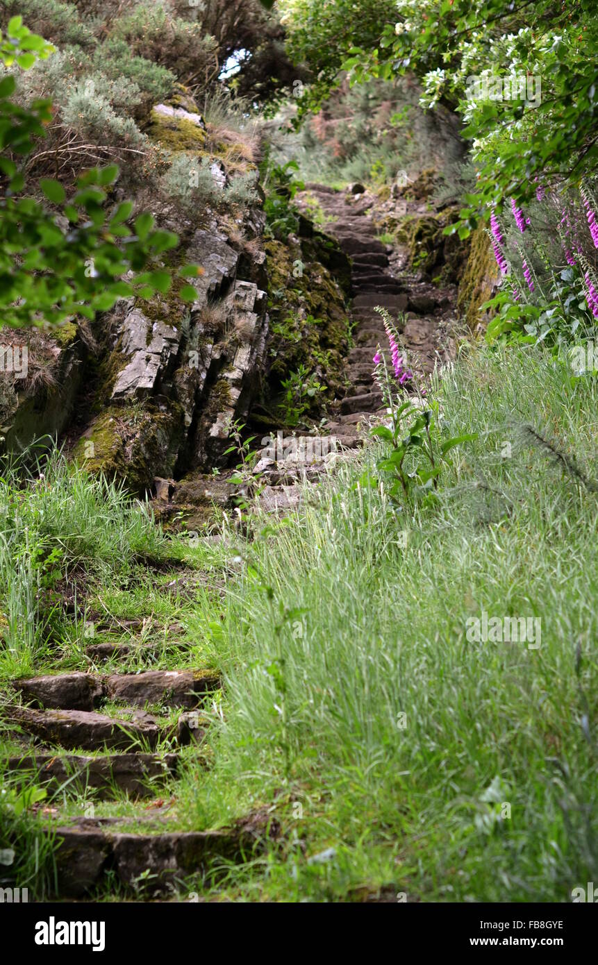 Path with stairs hi-res stock photography and images - Alamy