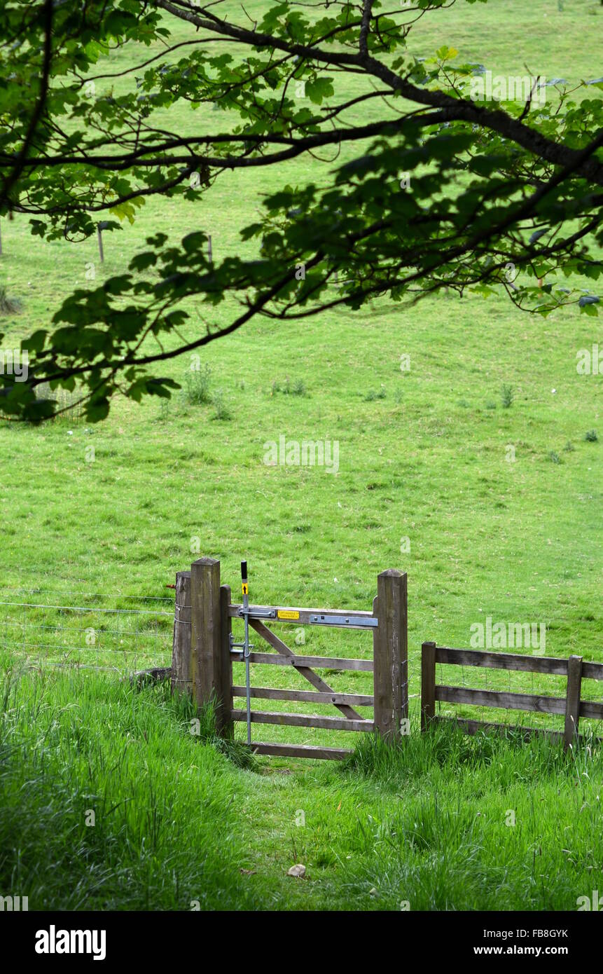 Craig gate hi-res stock photography and images - Alamy