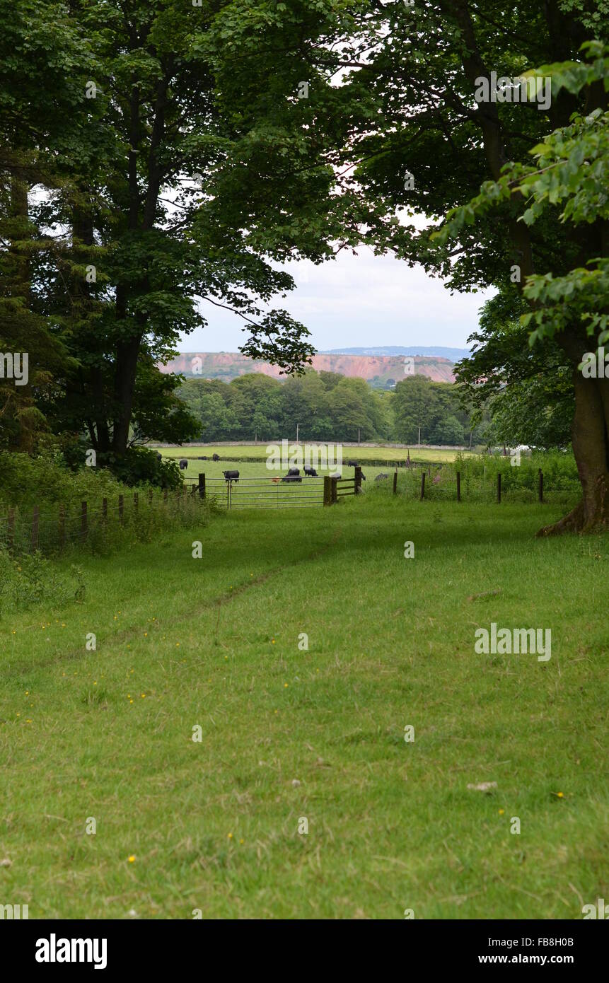Path near Binny Craig, with a view to red shale bings, West Lothian ...