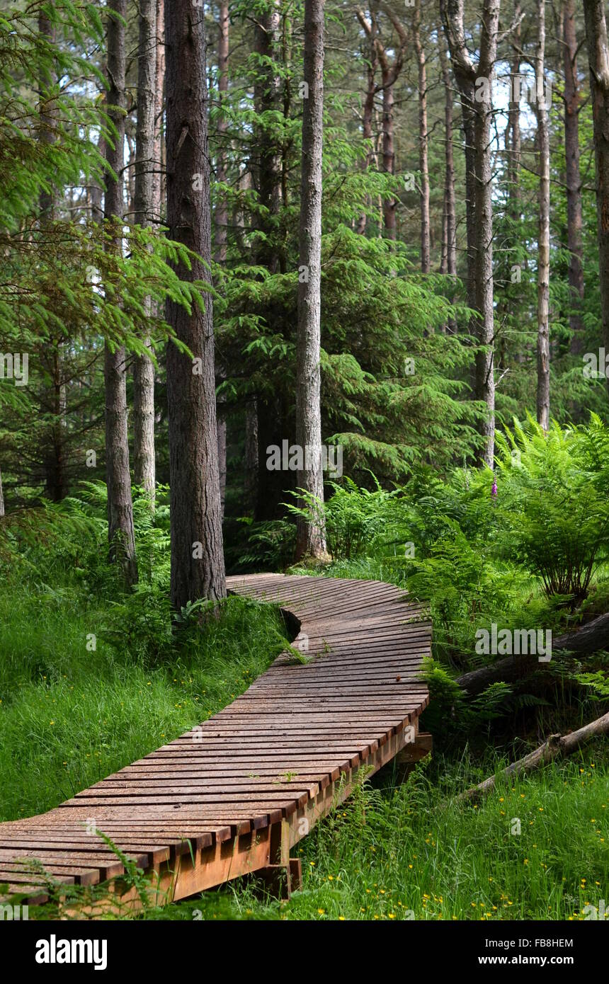 Country Path Walkway Stock Photos & Country Path Walkway Stock Images ...