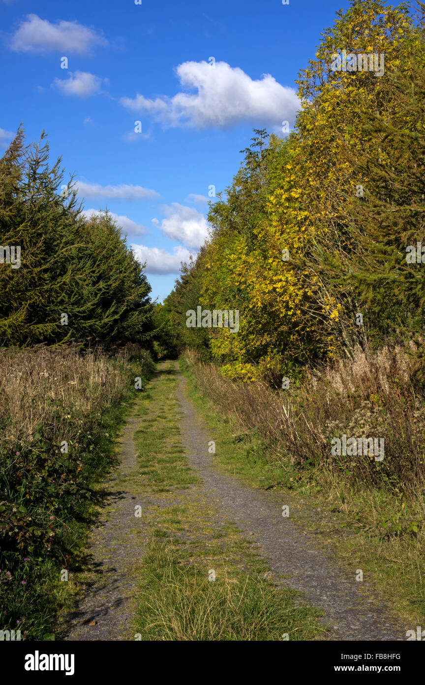 An access track also a footpath and cycle route Stock Photo - Alamy
