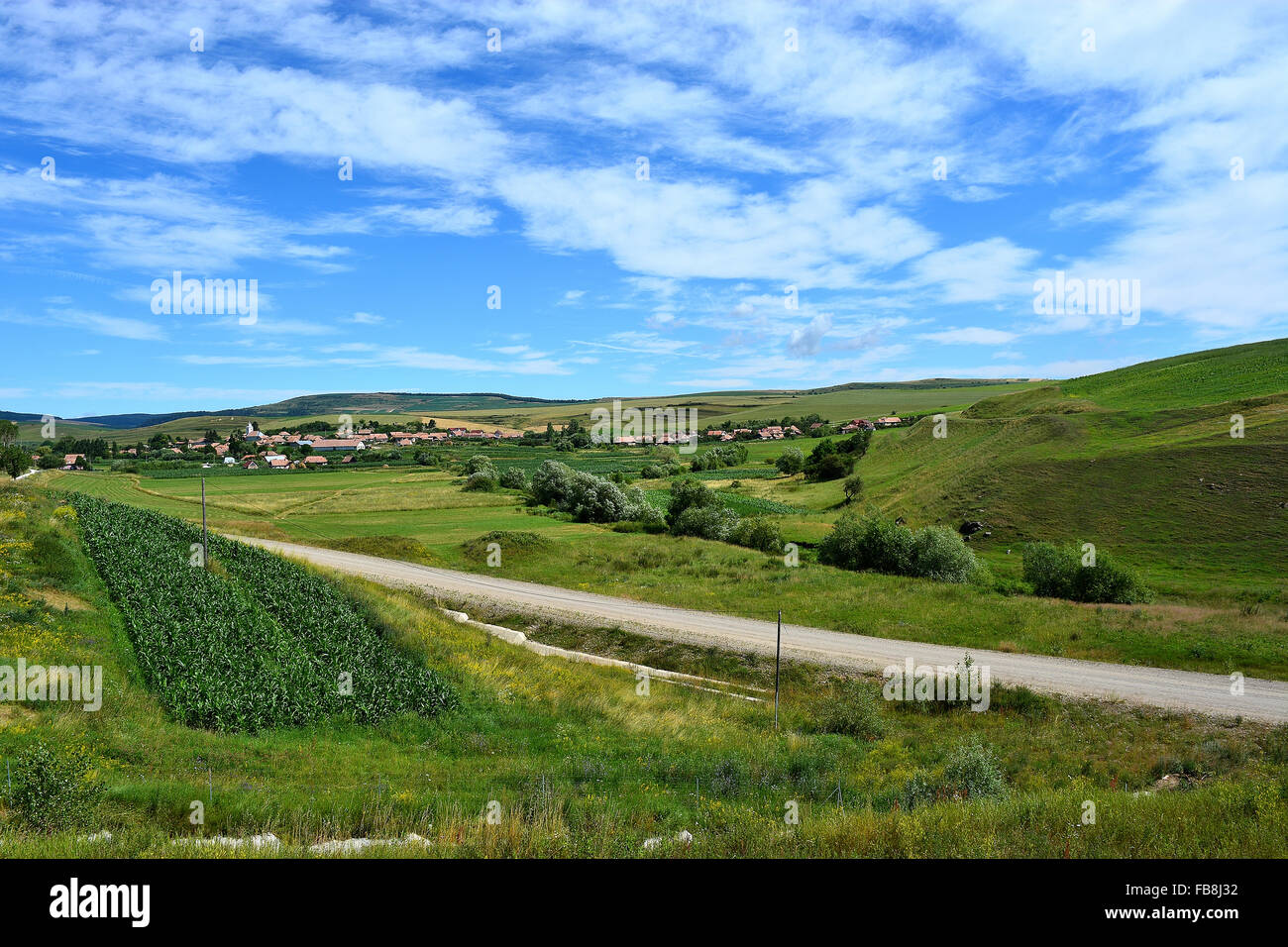 Fields of territory of Transylvania Stock Photo - Alamy