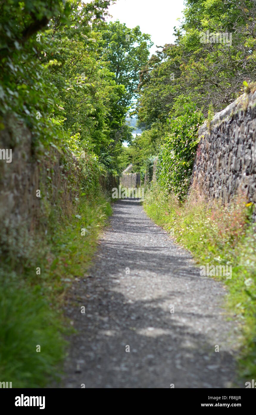 Narrow path between two walls in Fife, Scotland Stock Photo - Alamy