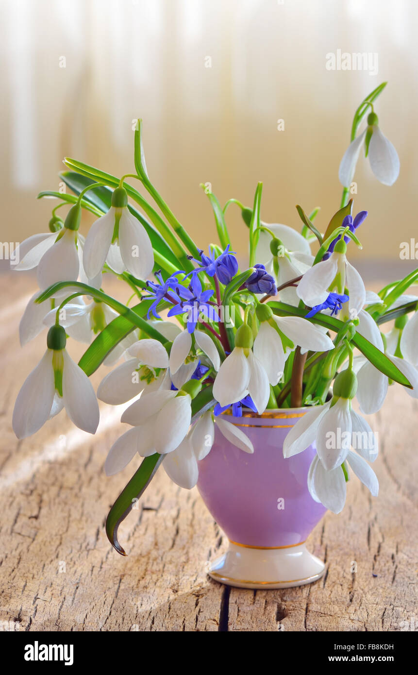 Beautiful bouquet snowdrops close hi-res stock photography and images ...