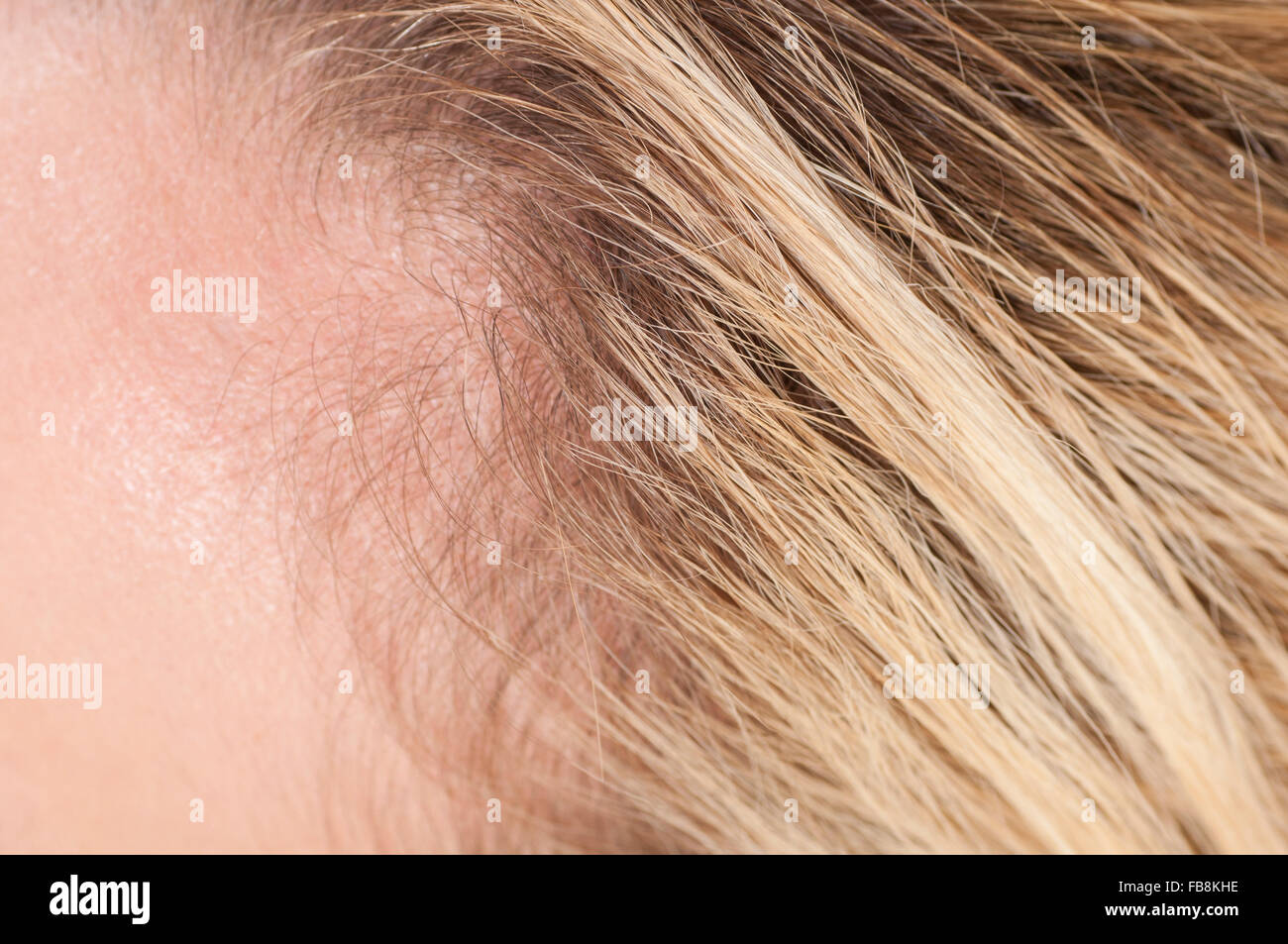 Close up of woman's hair Stock Photo - Alamy