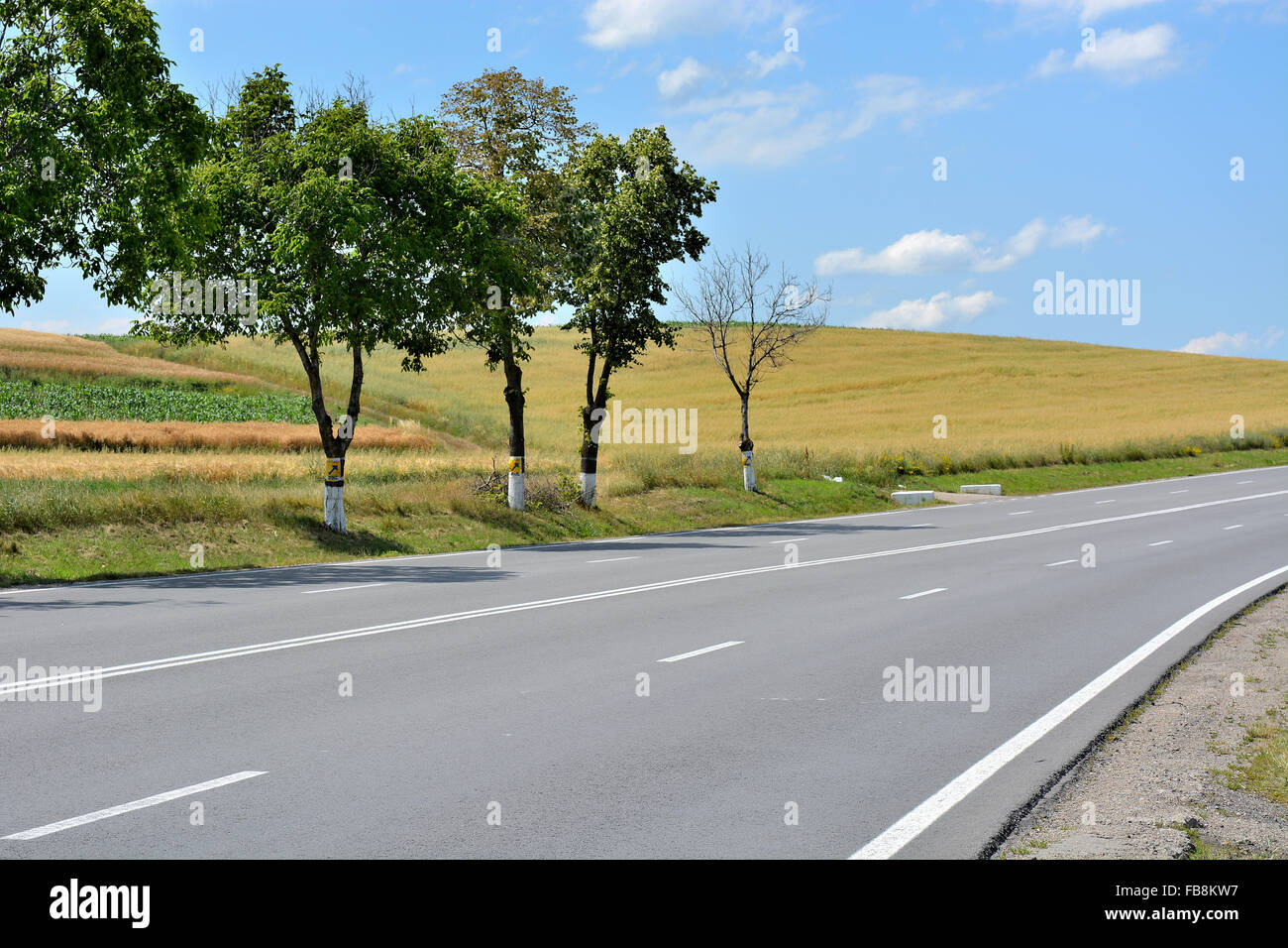 Fields of territory of Transylvania Stock Photo - Alamy