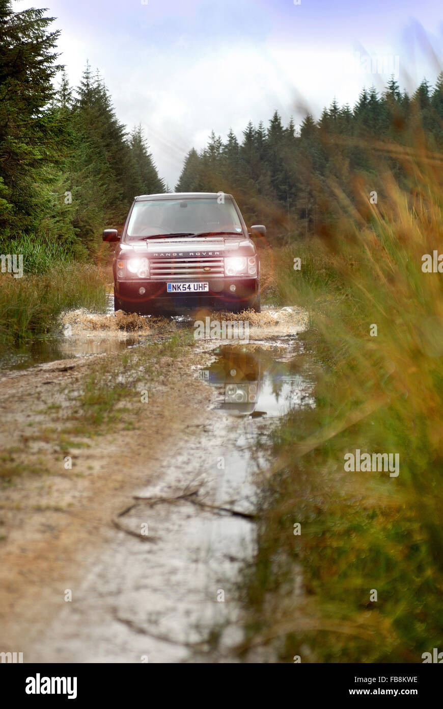 4x4 driving through Kielder forest / Range Rover Stock Photo - Alamy