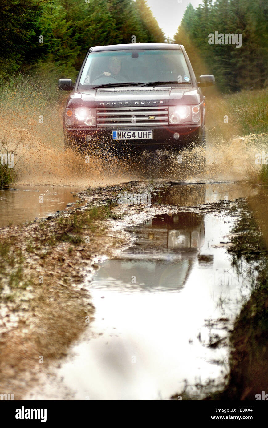 4x4 driving through Kielder forest / Range Rover Stock Photo - Alamy
