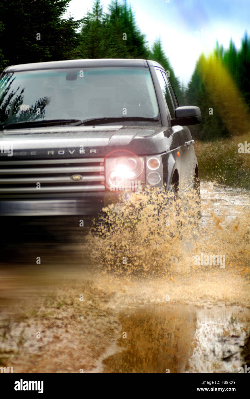 4x4 driving through Kielder forest / Range Rover Stock Photo - Alamy