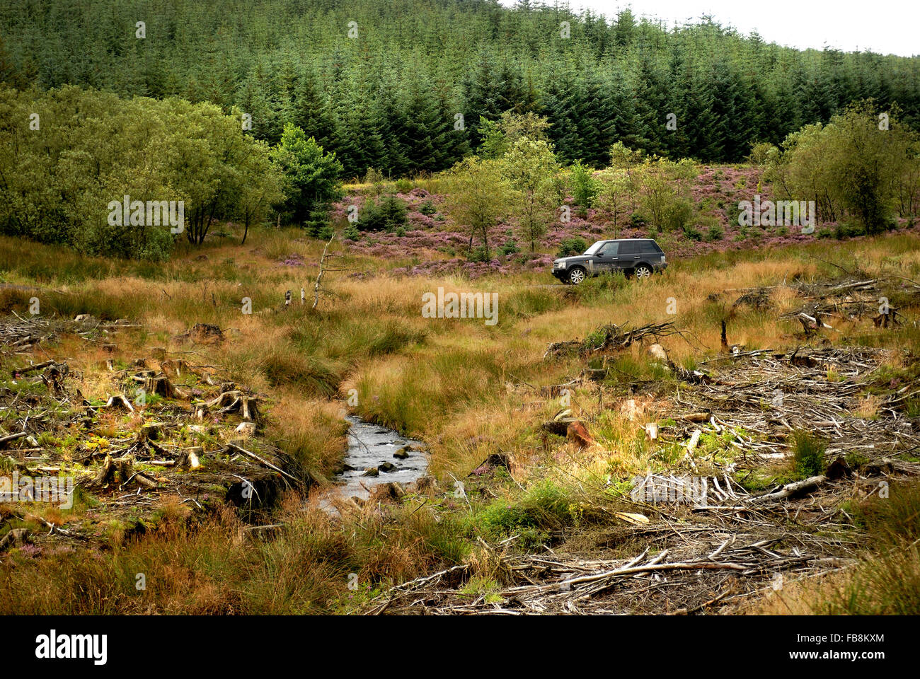 4x4 driving through Kielder forest / Range Rover Stock Photo - Alamy