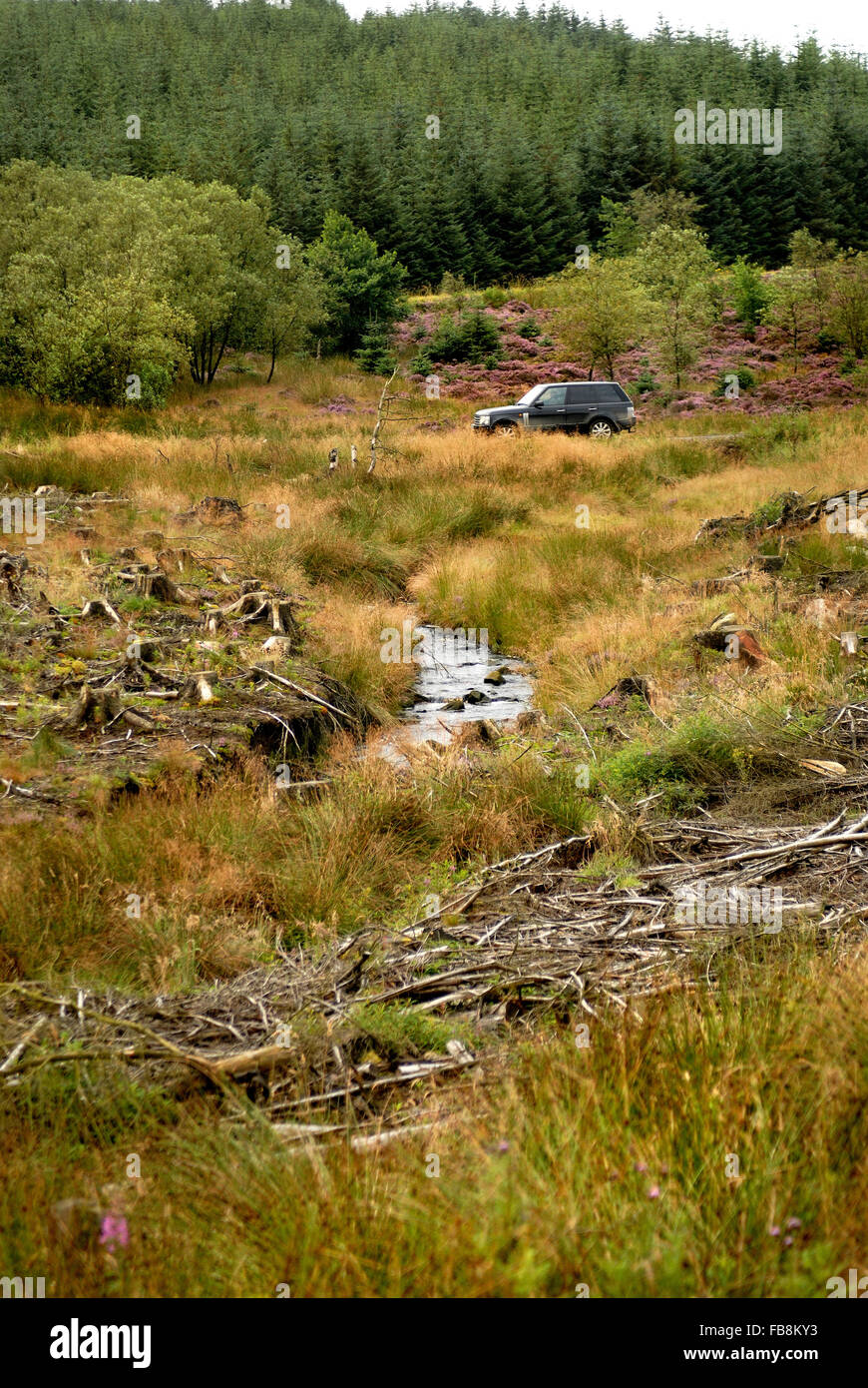 4x4 driving through Kielder forest / Range Rover Stock Photo - Alamy