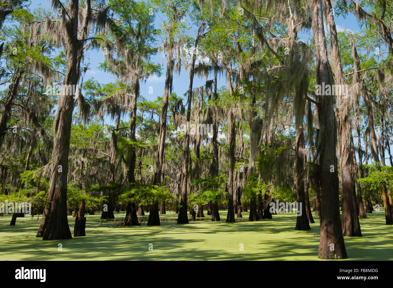 Central texas nature hi-res stock photography and images - Alamy
