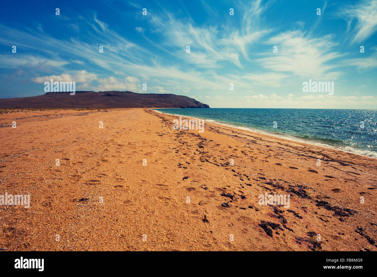 Wild desert sand beach Stock Photo - Alamy