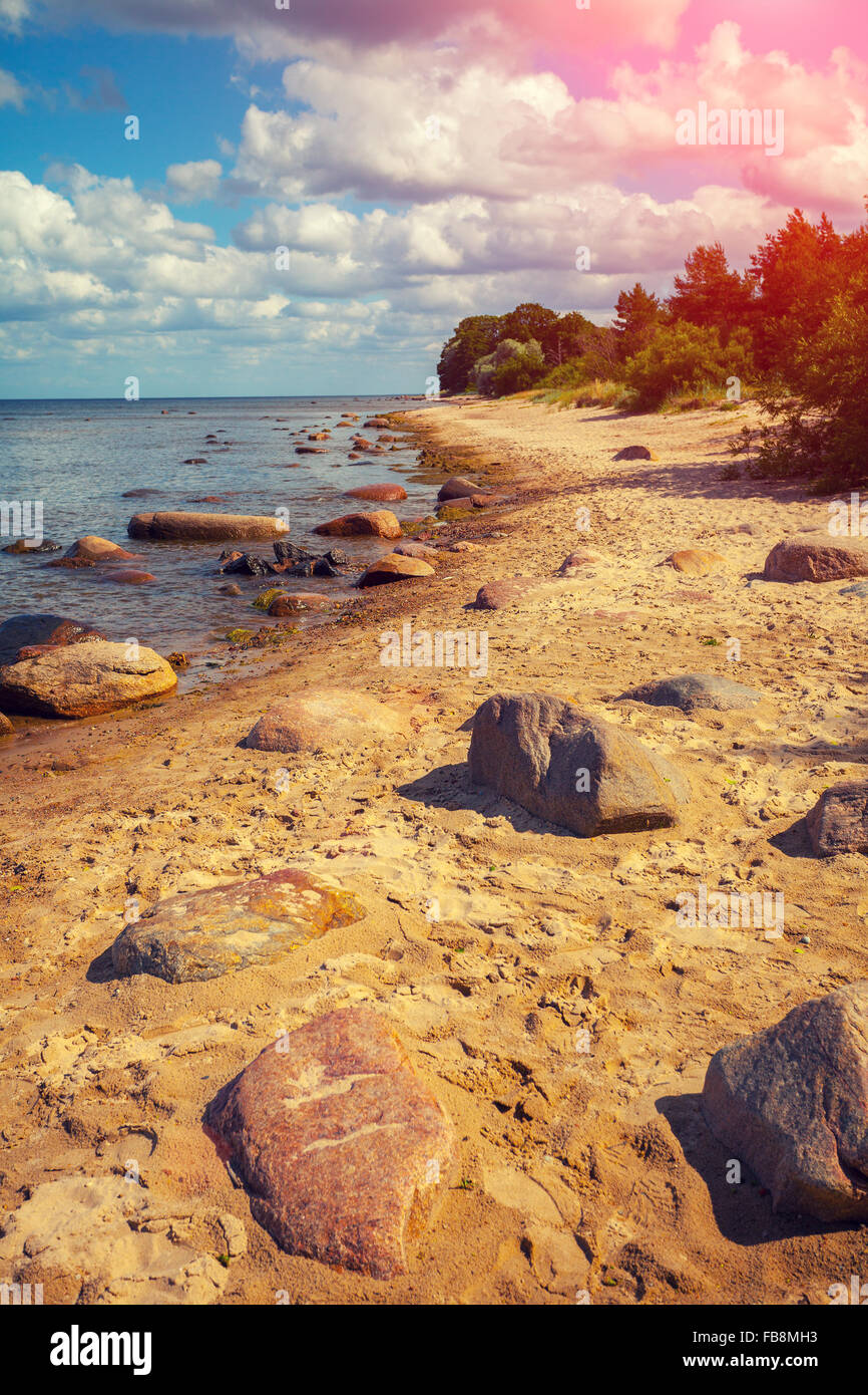 Baltic sea coast Stock Photo - Alamy